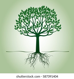 Green Tree Roots Vector Illustration Stock Vector (Royalty Free ...