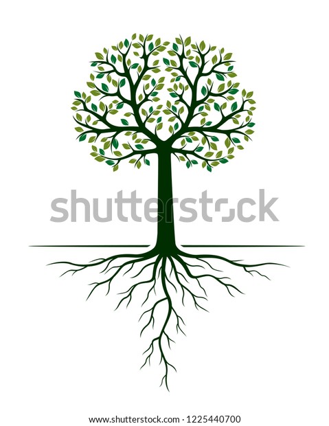 Green Tree Roots Vector Illustration Plant Stock Vector (Royalty Free ...