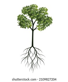 Green Tree Roots Vector Outline Illustration Stock Vector (Royalty Free ...