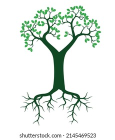 Green Tree Roots Vector Outline Illustration Stock Vector (Royalty Free ...