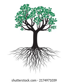 Green Tree Roots Vector Outline Illustration: เวกเตอร์สต็อก (ปลอดค่า ...