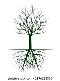 Green Tree Roots Vector Outline Illustration Stock Vector (Royalty Free ...