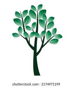 Green Tree Vector Outline Illustration Stock Vector (Royalty Free ...