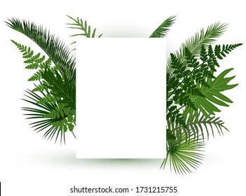 Robusta Stock Vectors, Images & Vector Art | Shutterstock
