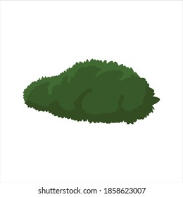 Underbrushing Images, Stock Photos & Vectors | Shutterstock