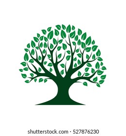 264 Bo tree vector Images, Stock Photos & Vectors | Shutterstock