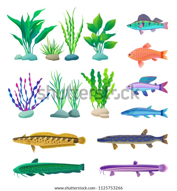 Green Violet Straight Wavy Algae Type Stock Vector (Royalty Free ...