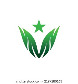 Green Wing Star Logo Icon Vector Stock Vector (Royalty Free) 2197280163 ...