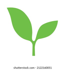 Green Young Sprout Two Leaves Symbol Stock Vector (Royalty Free ...