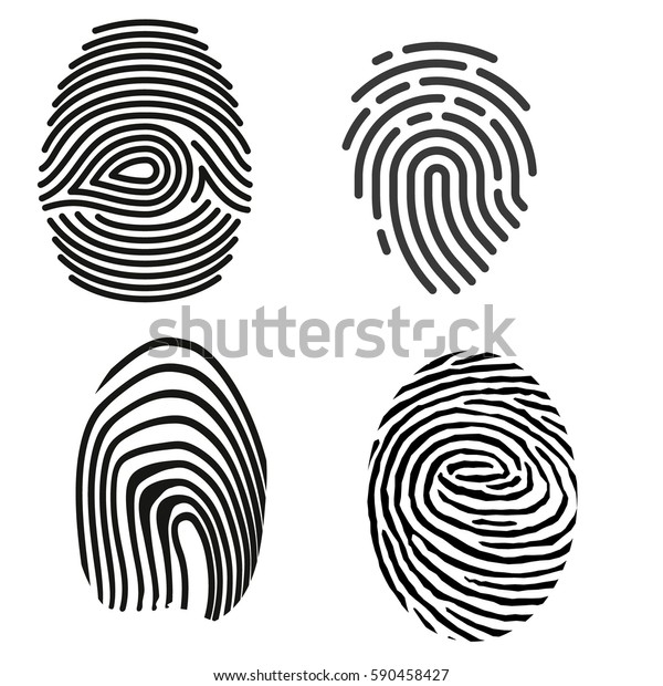 Grey Fingerprint Types Detailed Vector Set Stock Vector (Royalty Free ...