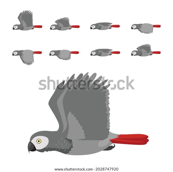 Grey Parrot Flying Animation Sequence Cartoon Stock Vector (Royalty ...