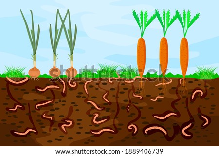 Earthworm Clipart | Free download on ClipArtMag