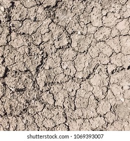 Ground Texture Background Vector Illustration Design Stock Vector ...