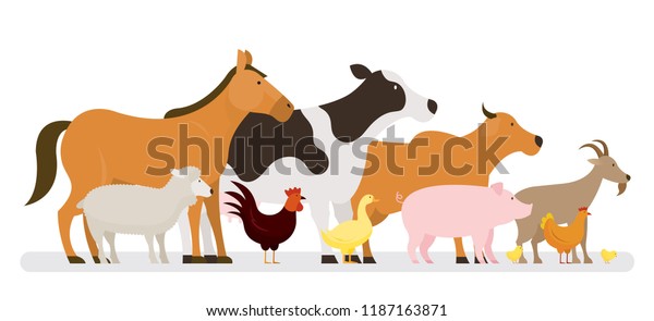 Group Farm Animals Side View Farming: เวกเตอร์สต็อก (ปลอดค่าลิขสิทธิ์ ...