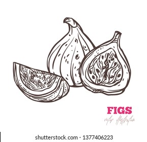 Group Figs Vector Sketch Illustration Doodle Stock Vector (Royalty Free ...