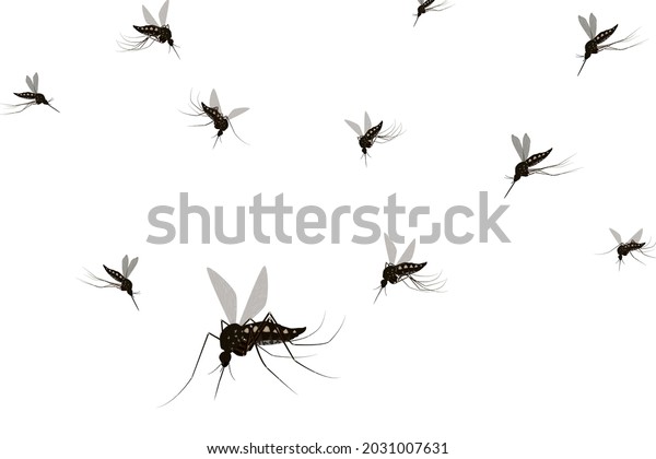 Group Mosquito Flying Transparent Background Realistic Stock Vector ...