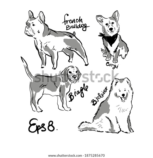 Group Popular Breed Dogs Vector Sketch Stock Vector (Royalty Free ...