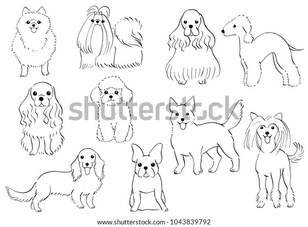 Group Small Dogs Hand Drawn Stock Vector (Royalty Free) 1043839792 ...