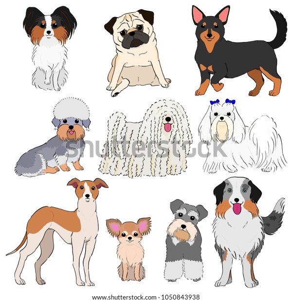 Group Small Dogs Hand Drawn 스톡 벡터(로열티 프리) 1050843938 | Shutterstock