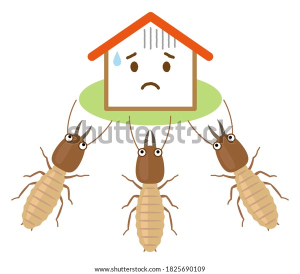 Group Termites Attacking House Cartoon Character Stock Vector (Royalty ...