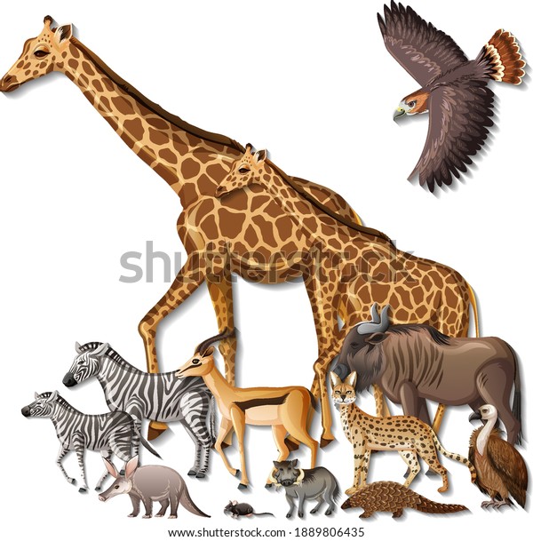 Group Wild African Animals On White Stock Vector (Royalty Free ...