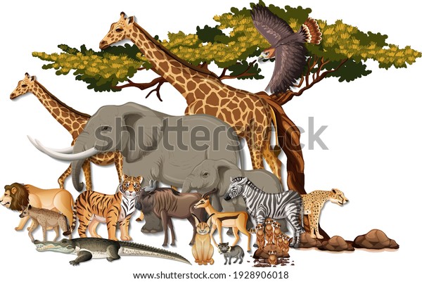 Group Wild African Animals On White Stock Vector (Royalty Free ...