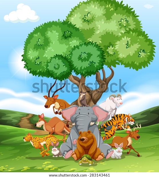 Group Wild Animals Together Field Stock Vector (Royalty Free) 283143461 ...