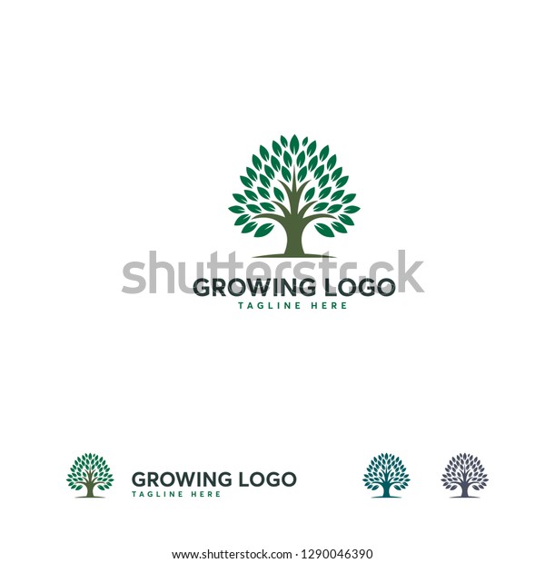 Growing Logo Designs Template Nature Oak Stock Vector (Royalty Free ...
