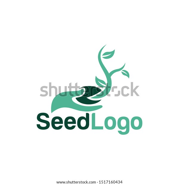 Growing Seed Logo Designs Vector Seed Stock Vector (Royalty Free ...