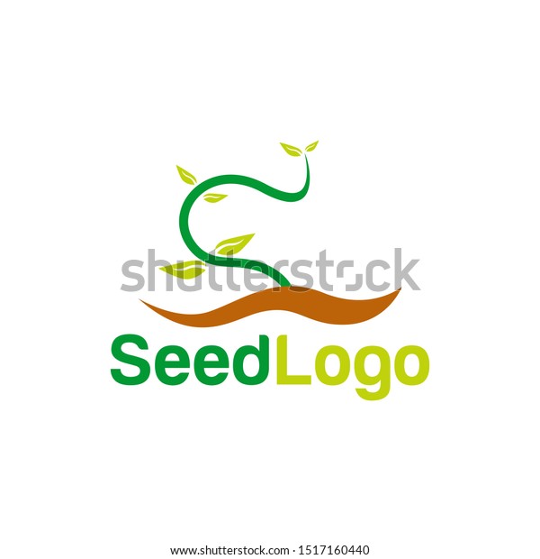 Growing Seed Logo Designs Vector Seed Stock Vector (Royalty Free ...