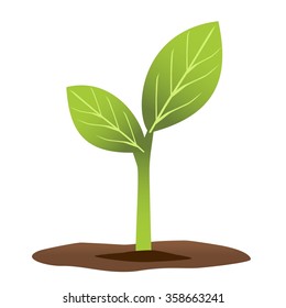 Growing Sprout White Background Stock Vector (Royalty Free) 358663241 ...