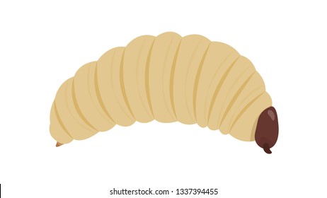 Grubs Images, Stock Photos & Vectors | Shutterstock