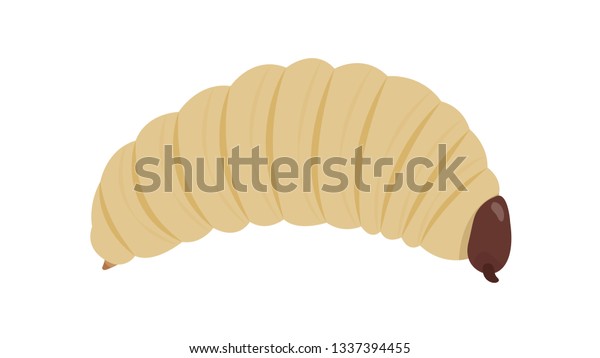 Grub Worm Cartoon On White Background Stock Vector (Royalty Free ...