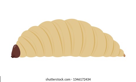 Grubs Stock Vectors, Images & Vector Art | Shutterstock