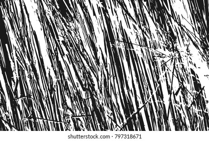 Grunge Black White Straw Texture Template Stock Vector (Royalty Free ...