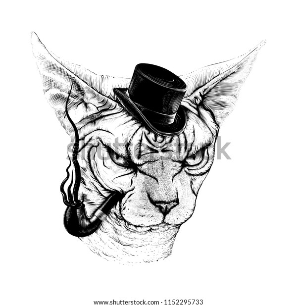 Grunge Vector Illustration Angry Sphinx Cat Stock Vector (Royalty Free ...
