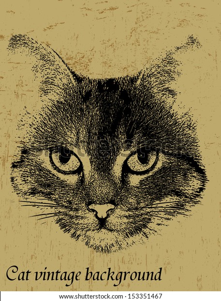 Grunge Vintage Background Cat Theme Vector Stock Vector (Royalty Free ...