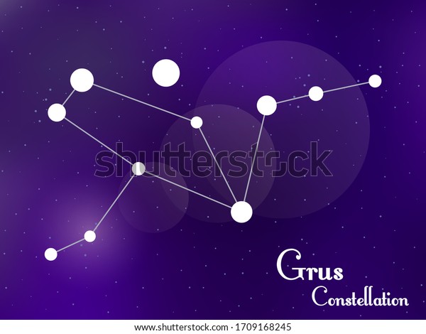 Grus Constellation Starry Night Sky Cluster Stock Vector (Royalty Free ...