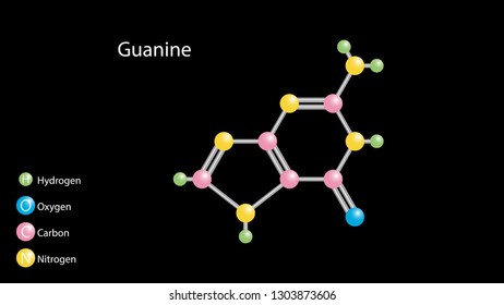 Guanine Molecular Structure Vector Design Stock Vector (Royalty Free ...