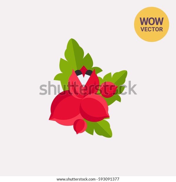 Guarana Fruit Icon Stock Vector (Royalty Free) 593091377 | Shutterstock