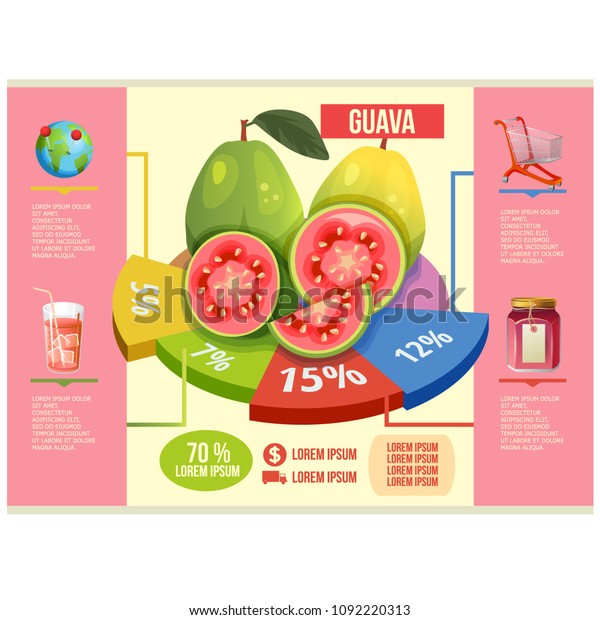 Guava Infographic Vector Stock Vector (Royalty Free) 1092220313 ...