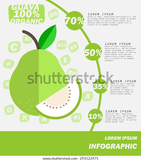 Guava Infographics Fruit Vector Illustration Stock Vector (Royalty Free ...