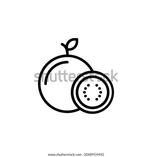 Guava Vector Icon Fruit Icon Outline Stock Vector (Royalty Free ...