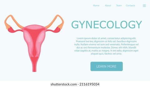 Gynecology Template Banner Flat Vector Illustration Stock Vector ...