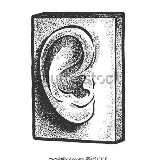 Gypsum Plaster Cast Human Ear Sketch Stock Vector (Royalty Free ...