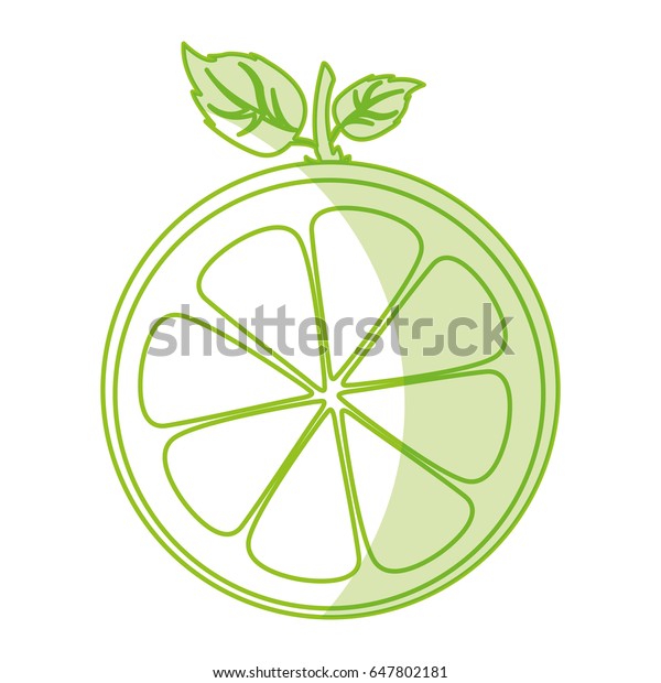 Half Citrus Fruit Icon Stock Vector (Royalty Free) 647802181 | Shutterstock