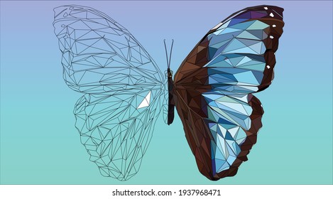 737 Half wireframe Images, Stock Photos & Vectors | Shutterstock