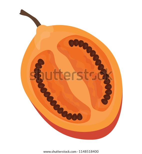 Half Cutted Piece Fruit Having Black Stock Vector (Royalty Free ...