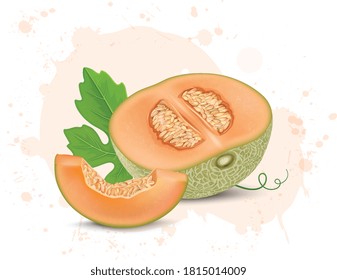 1,412 Muskmelon Stock Vectors, Images & Vector Art | Shutterstock