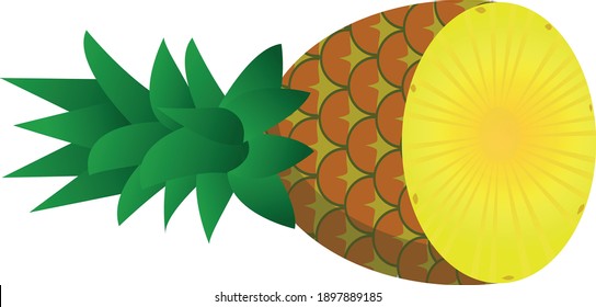Half Pineapple Vector Illustration Stock Vector (Royalty Free ...